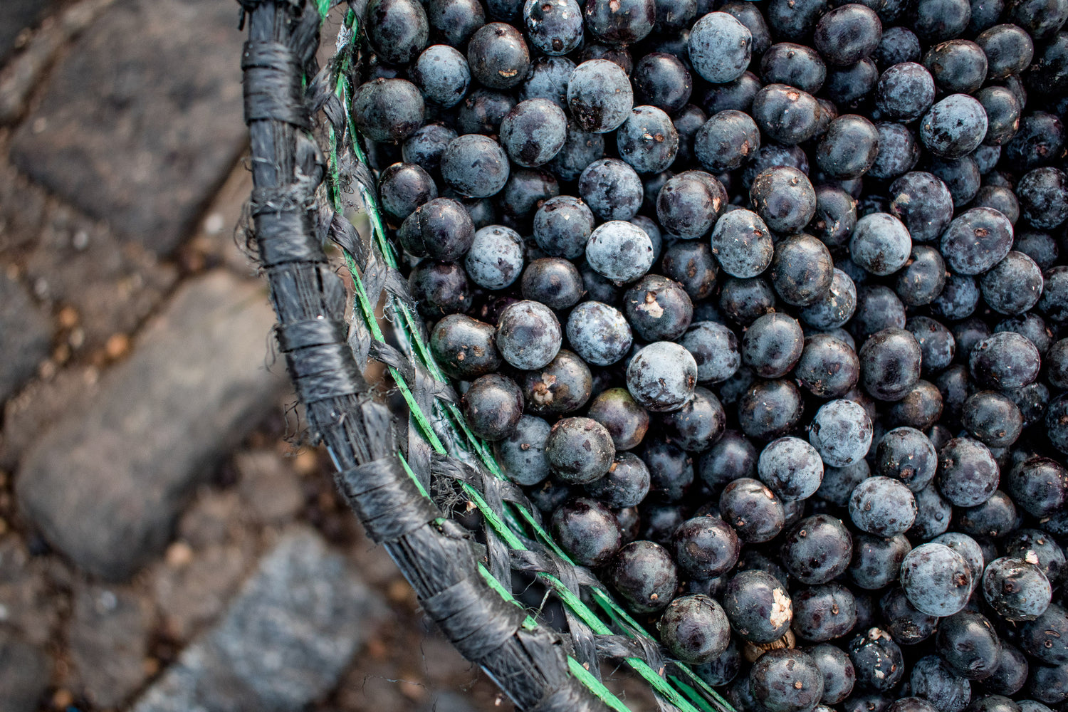 AÇAÍ IS A POTENT ANTI-INFLAMMATORY – Nativo Açaí